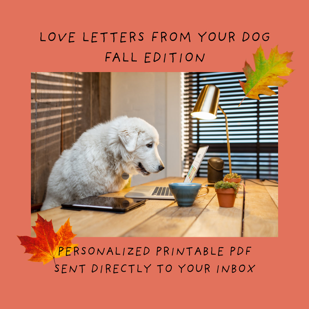 Personalized Love Letters From Your Dog... Fall Edition – Swanky Mutt ...